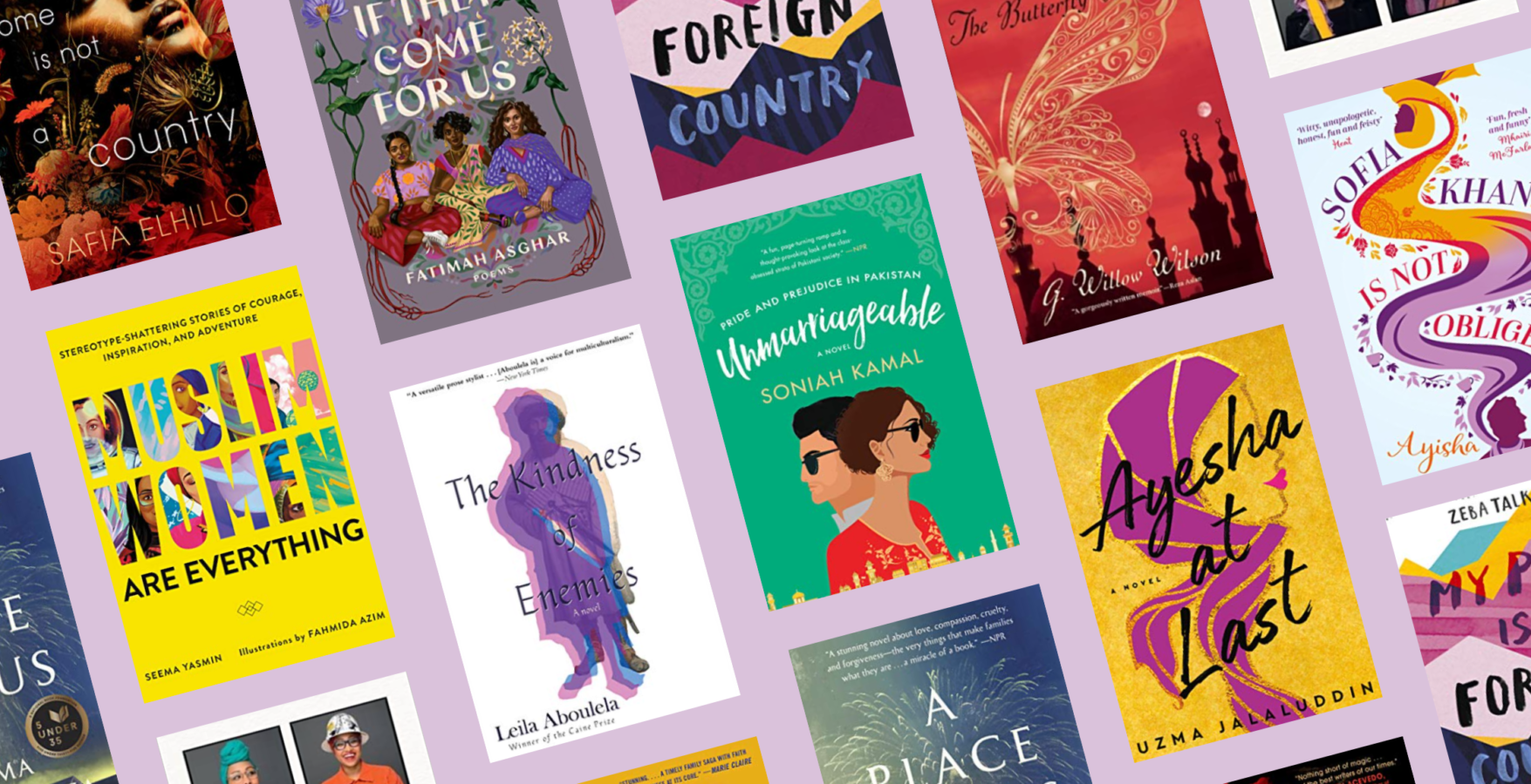 12 Books by Female Muslim Authors to Read this Winter - American Muslim ...